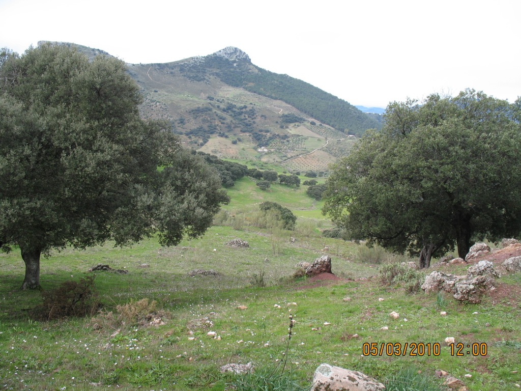 Excursiones Montecorto (Málaga). Aula museo de geologia Malaga ...